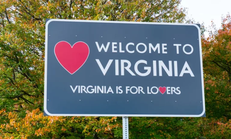 Virginia Vehicle Inspection Requirements: A Complete Guide