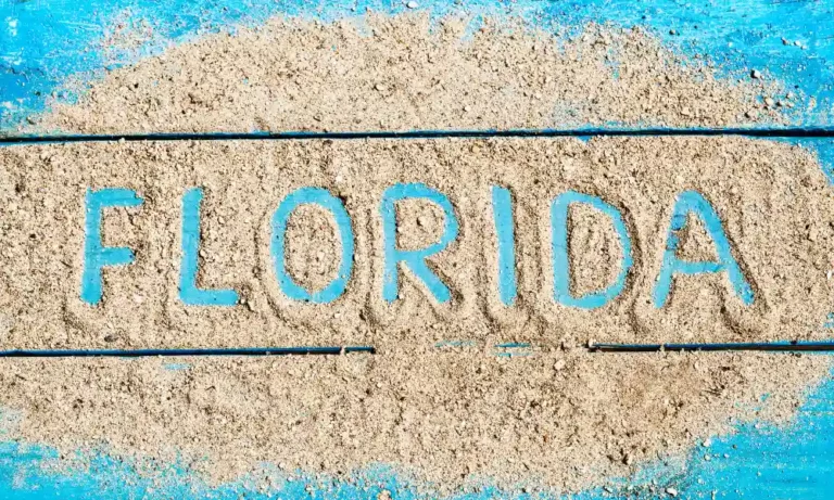 Florida Vehicle Registration Requirements: A Quick Guide